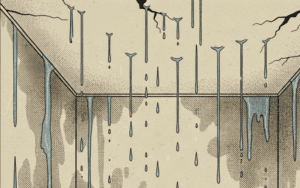 Roofer dripping ceiling | Builtin Insurance Brokers